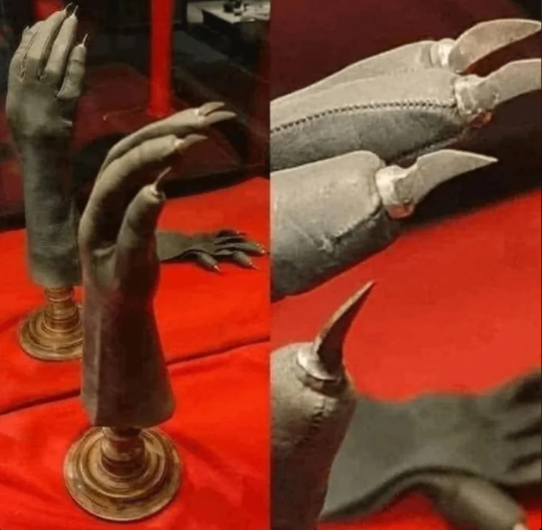 27 Extremely Rare Photos From The 1800s That Show Just How Wildly ...