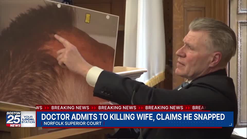 ‘I snapped’: Mass. doctor accused of murdering wife cries during ...