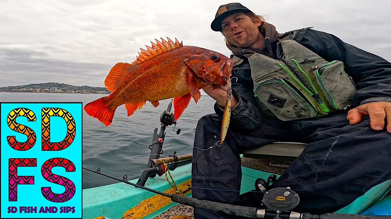 Solo Skiff Fishing in San Diego | YoYo Iron Rockfish Catch, Clean, and ...