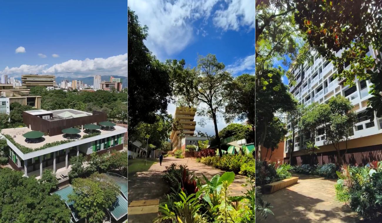 La Universidad Industrial de Santander (UIS) busca rector/a para el ...