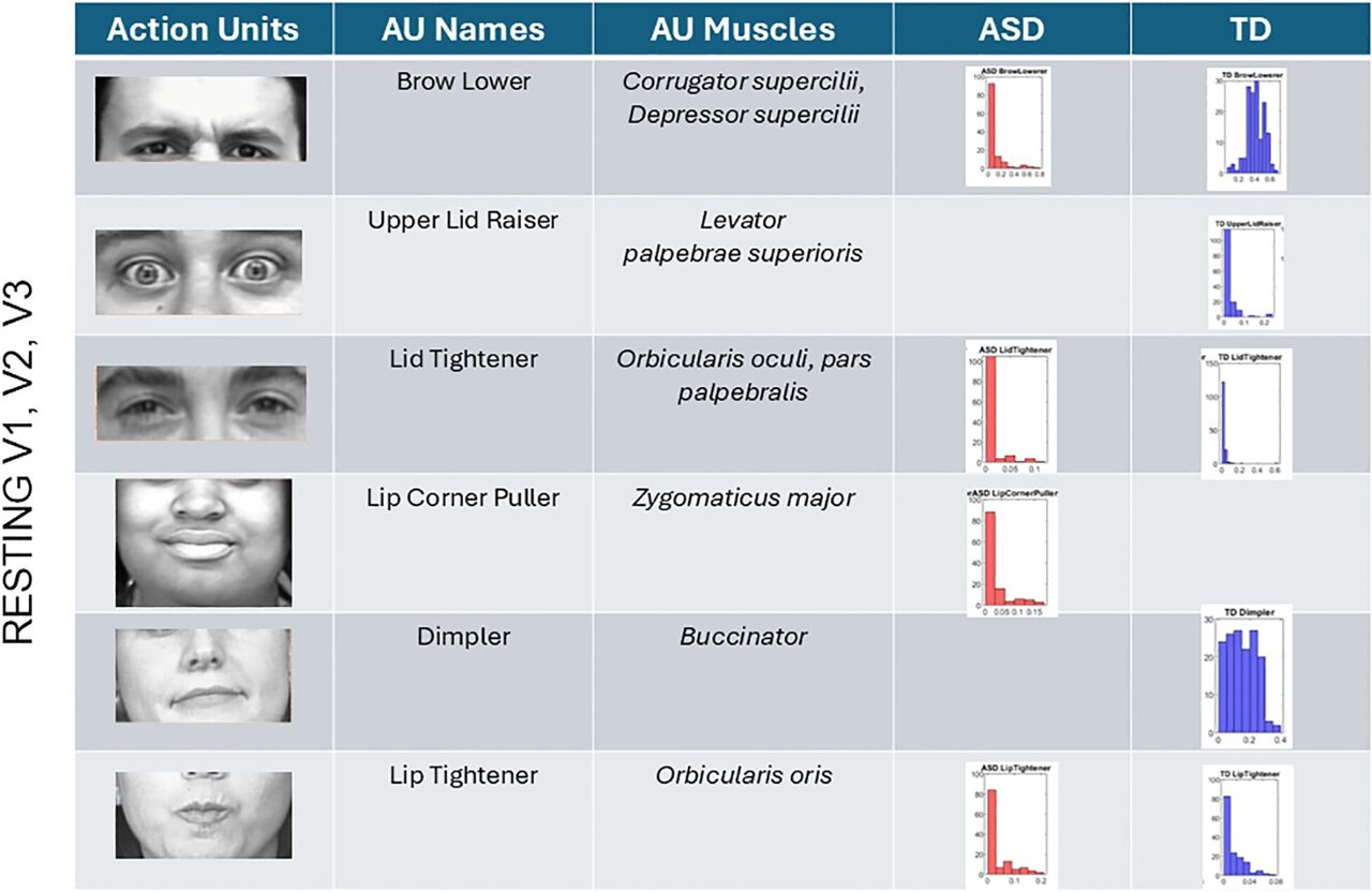 Tracking tiny facial movements can reveal subtle emotions in autistic ...