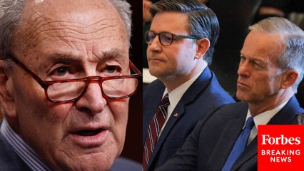 Chuck Schumer Calls On John Thune & Mike Johnson To 'Stand Up To Donald ...