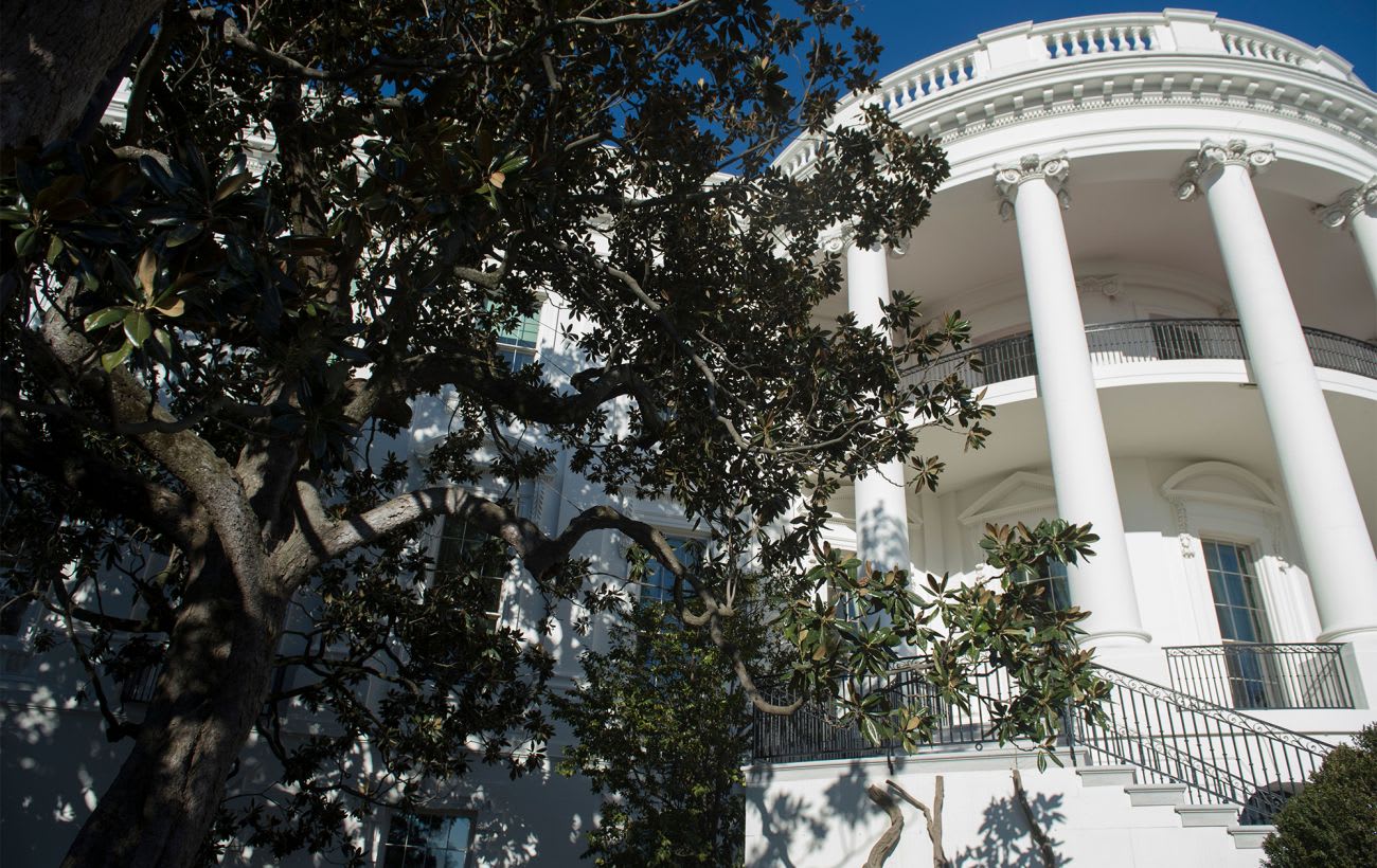 Trump to plant new tree at the White House after historic magnolia removal