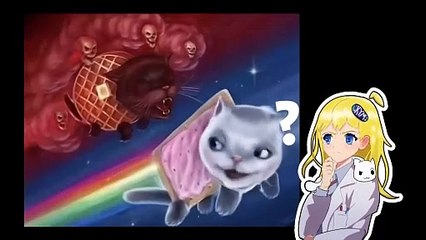 Why Did The Nyan Cat vs. Tac Nayn Meme Resurface After Over A Decade?
