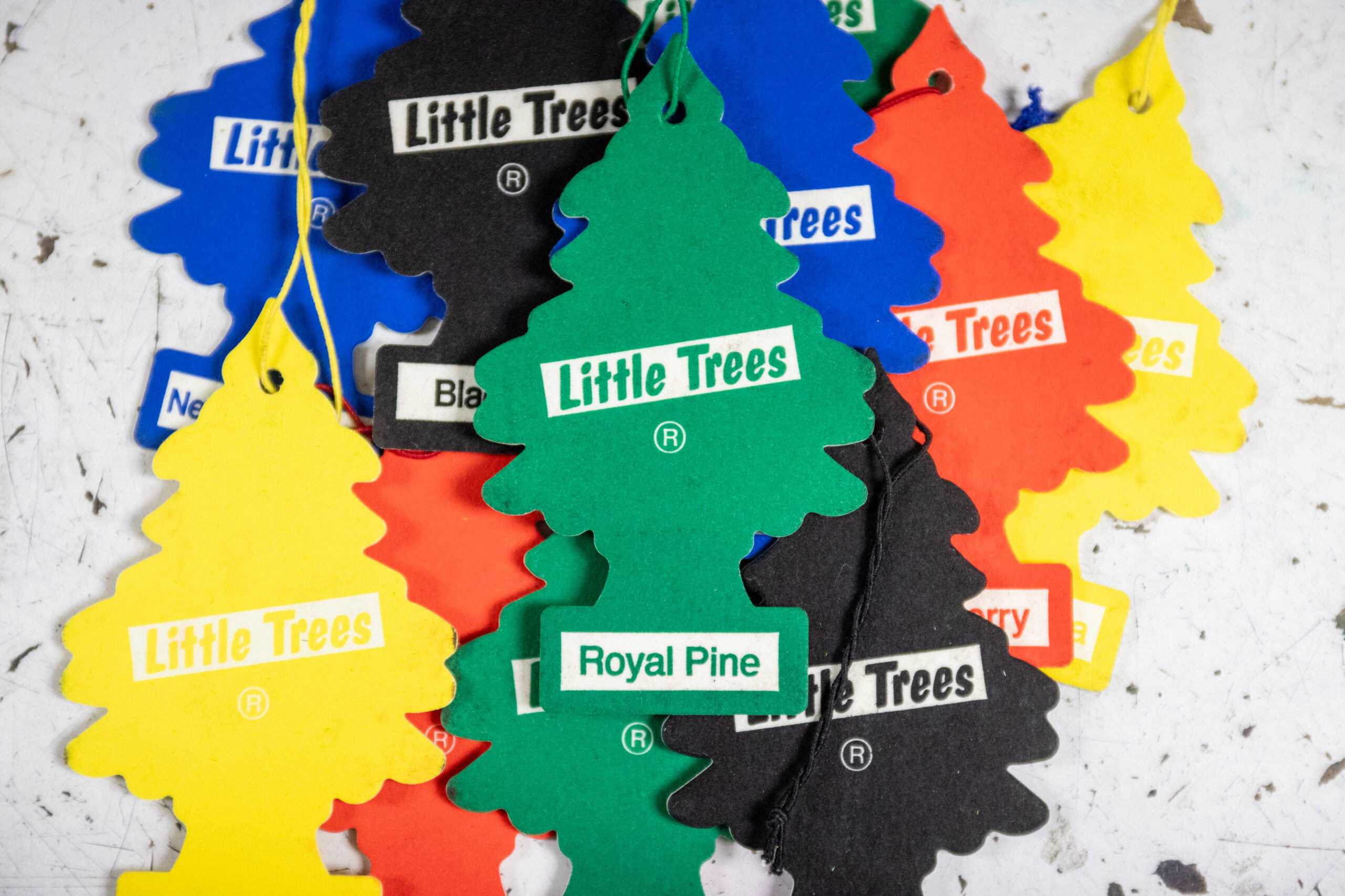 Little Trees Are Way Older Than You Think