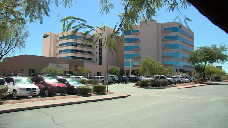 Surgery nightmare: Hospital admits mistake after failed cancer surgery ...