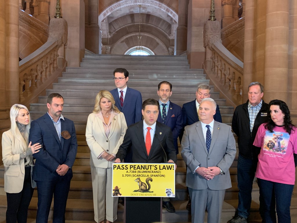 NY bill would give critters due process after P’Nut the squirrel was ...