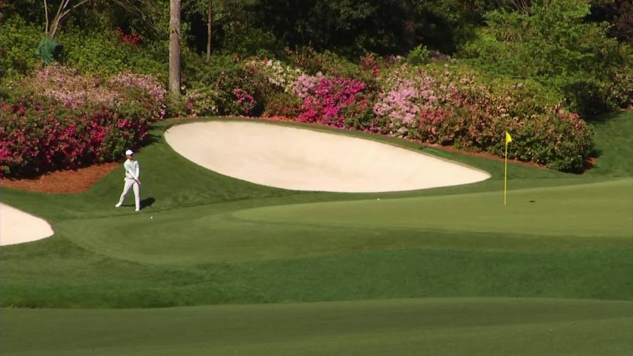 Azaleas showing up and showing out at Masters