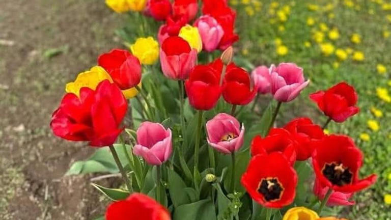 Indiana Jones Great Circle: All Ancient Relic locations