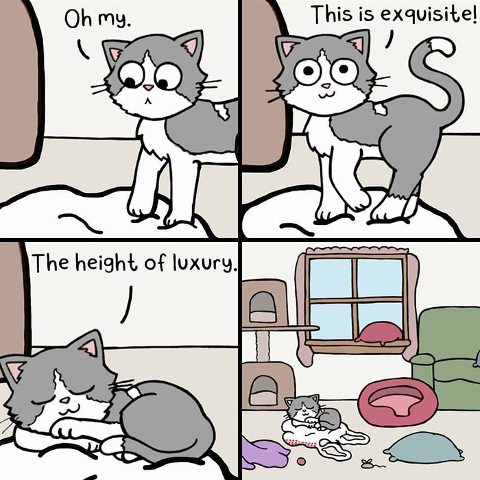 20 Funny And Relatable Comics About Relationships And Living With Cats ...