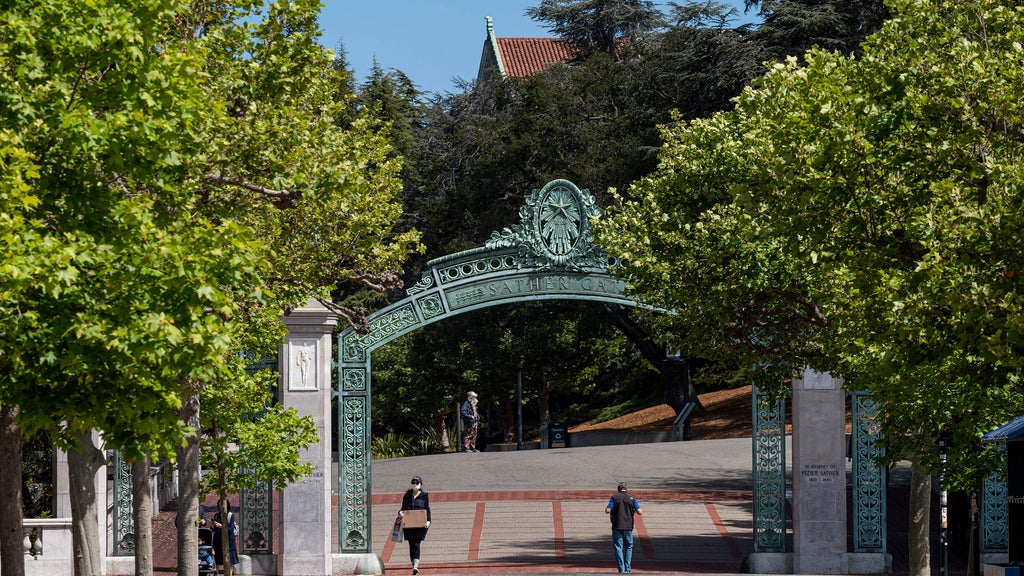 Visas revoked for 13 additional UC Berkeley students and recent ...