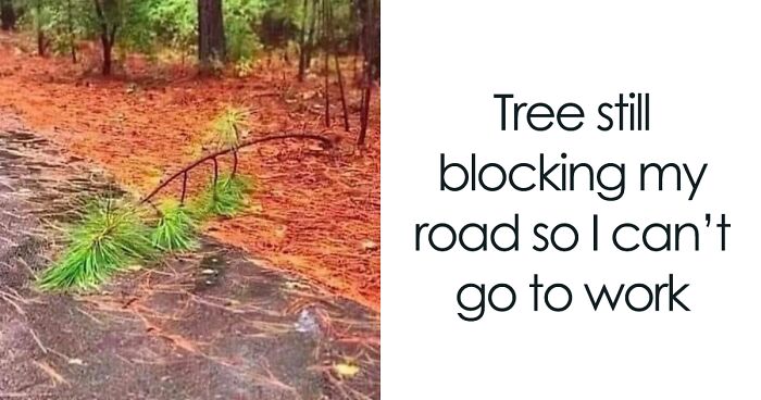 “I Feel Personally Attacked By This Meme”: 34 Random Funny Memes That ...