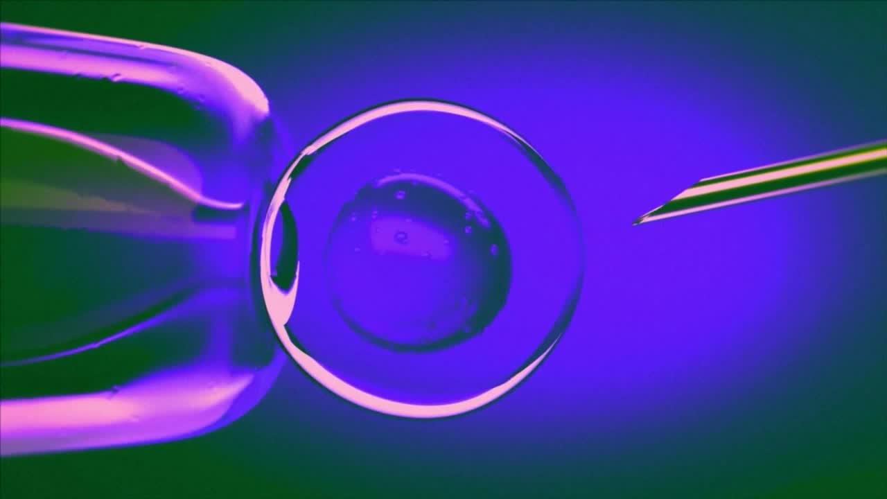 Scientists genetically engineer wolves with white hair and muscular jaws like the extinct dire wolf