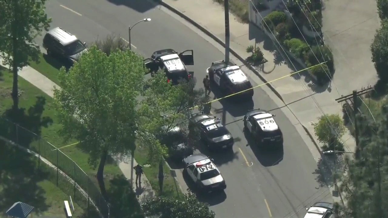 LA freeway hit-and-run crash leads to shooting between suspect, cops ...