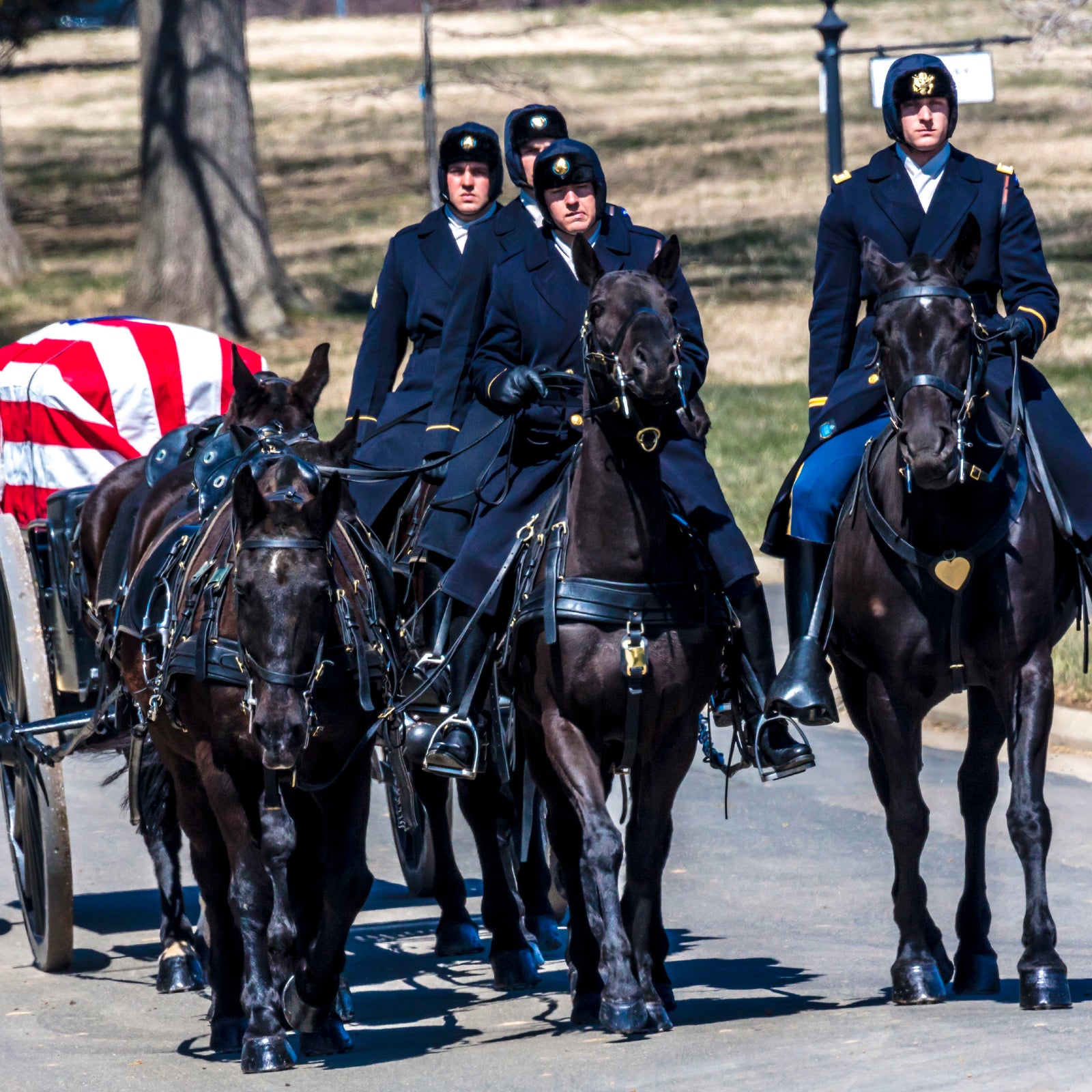 Horse-drawn caissons to return to Arlington Memorial Cemetery after 2 ...