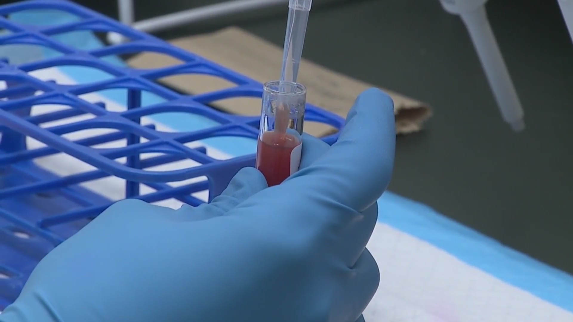 DPD to review sexual assault kits handled by 'Missy' Woods