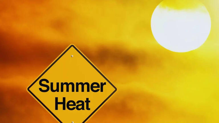 IMD heatwave alert: Delhi braces for scorching heatwave as temperatures soar