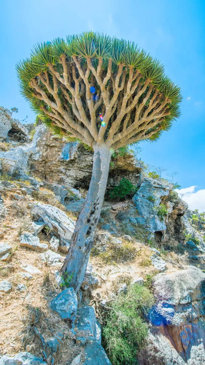 8 most unusual natural UNESCO World Heritage Sites