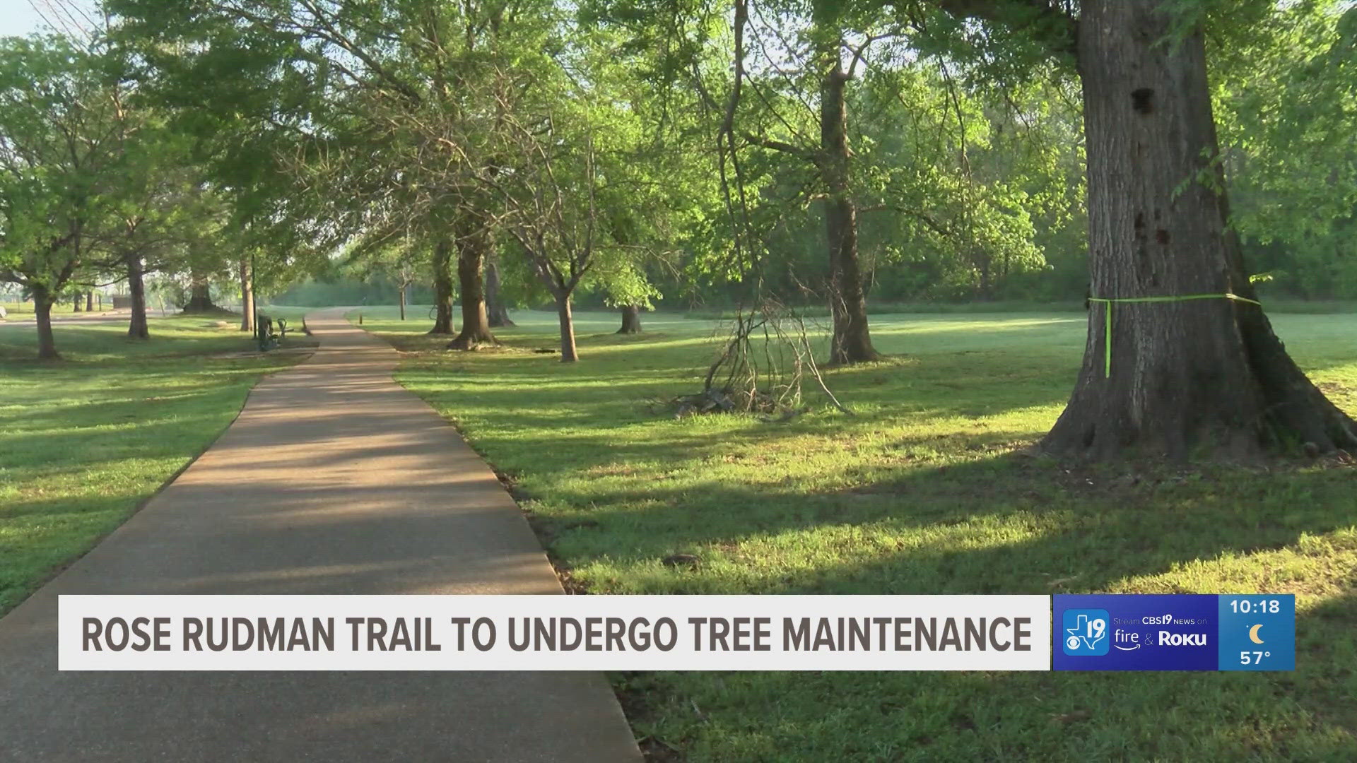 Rose Rudman trail undergoing tree maintenance