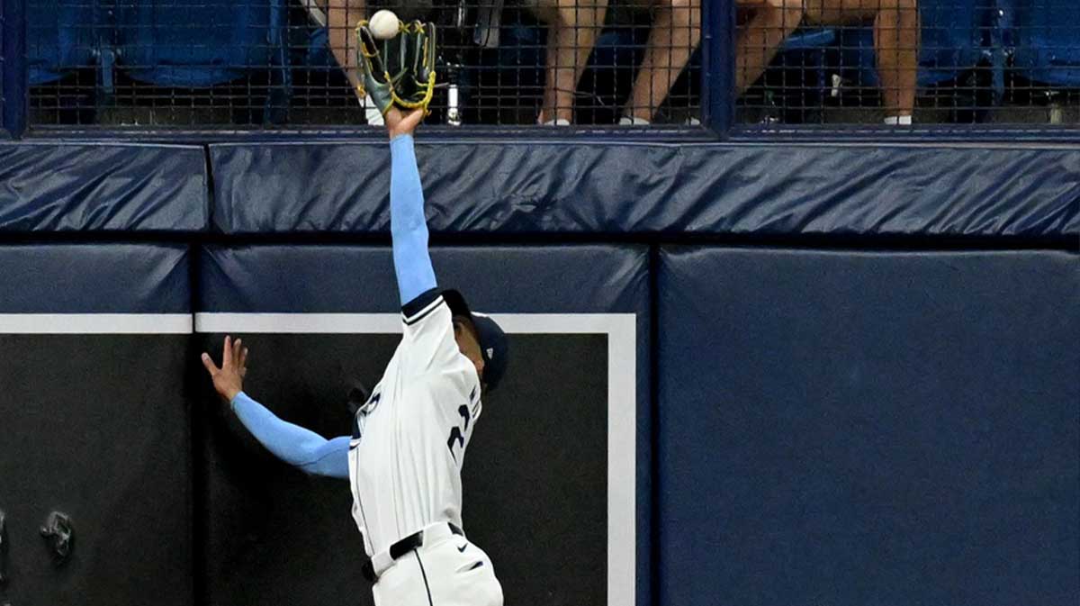 Zach Hample roasted after controversial home run catch at Rays game