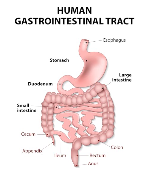 Don’t let embarrassment stop you – talking about these anal cancer ...