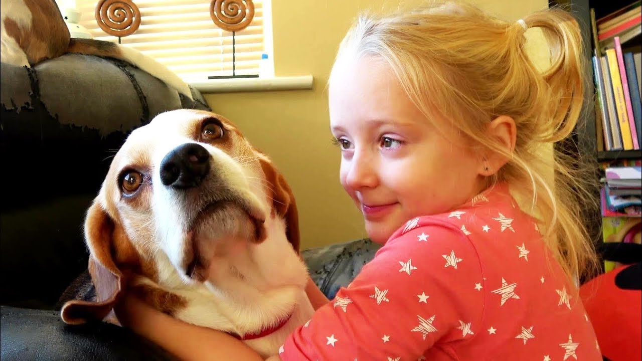 Cute dogs smother little girl with love every day