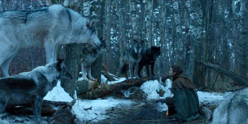 Every TV Show, Movie, Book That Mentions Dire Wolves As A Major Part of ...