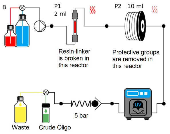 Oligonucleotides Cleavage Breakthrough with Vapourtec System