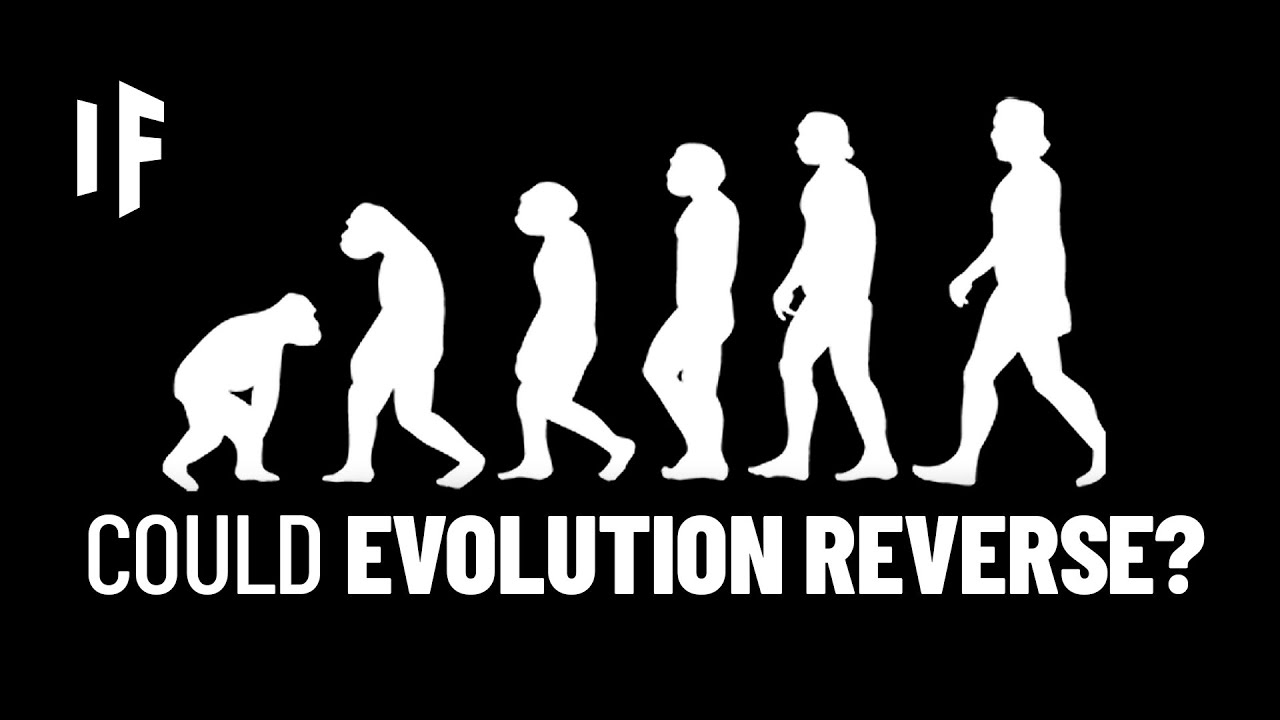 What If Humans Evolved in Reverse?