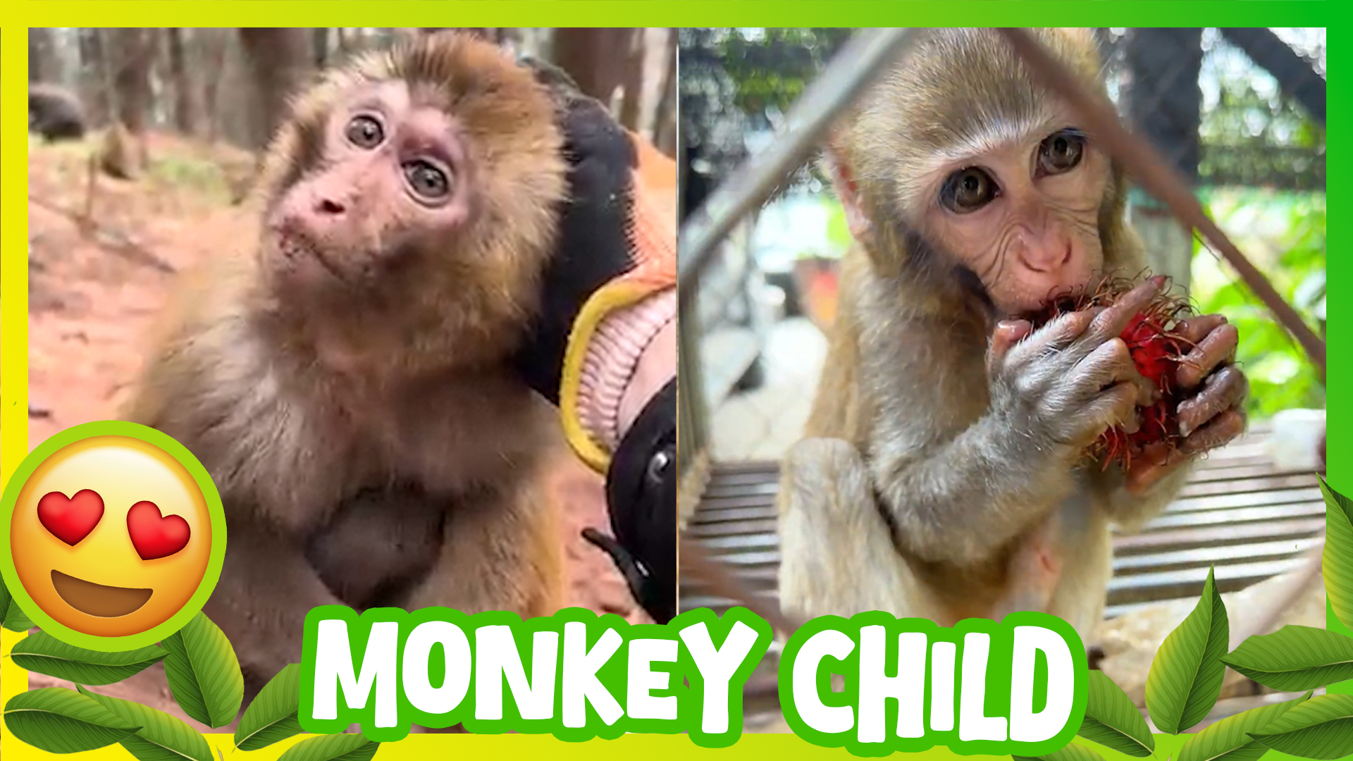🐵 Klein Aapje! Baby Aap Speelt en Ontdekt de Wereld – VDS Monkey 👶🐒🌍