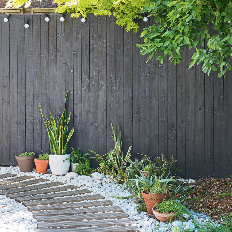 4 garden fence paint ideas that wll boost your home’s value – the ...