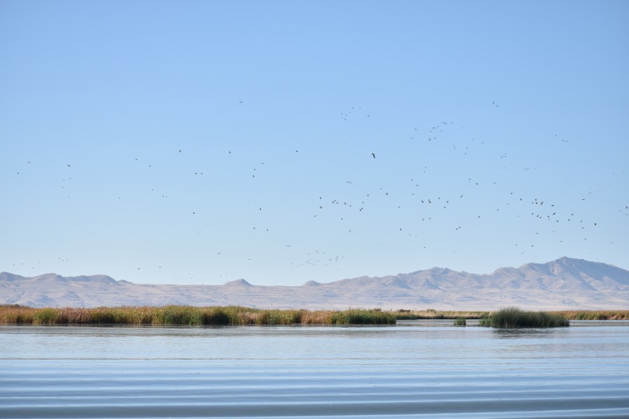 Great Salt Lake Commissioner expresses ‘great hope’ for water future