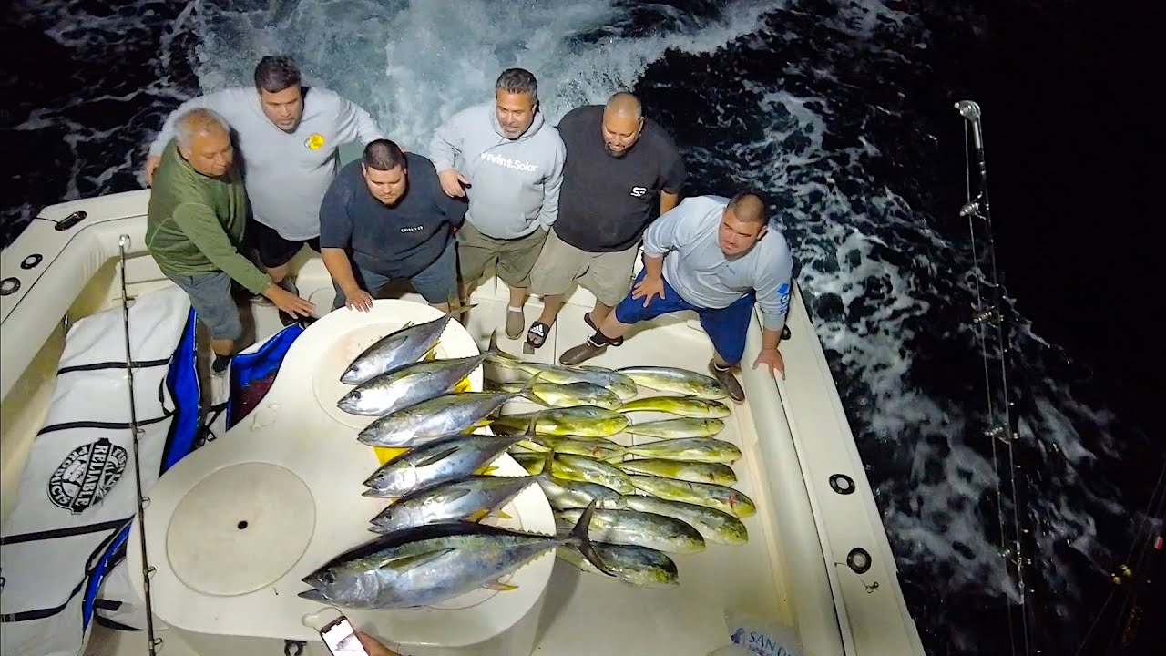 Offshore San Diego – Yellowfin on the Troll, Dorado on Live Sardines