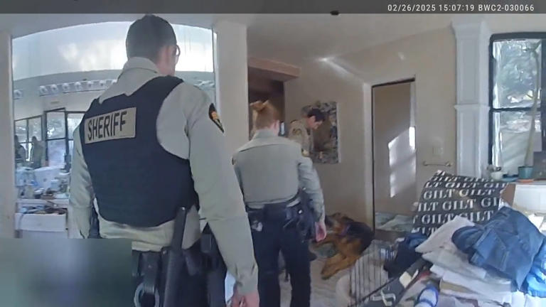 Haunting footage from inside Gene Hackman's home reveals dog's ...