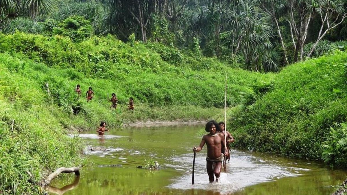 Global indigenous rights group says Indian govt’s Great Nicobar project ...