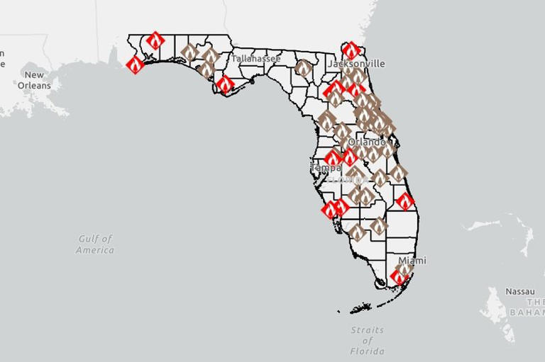 Map shows active wildfires across Florida as state to remain 'bone dry ...