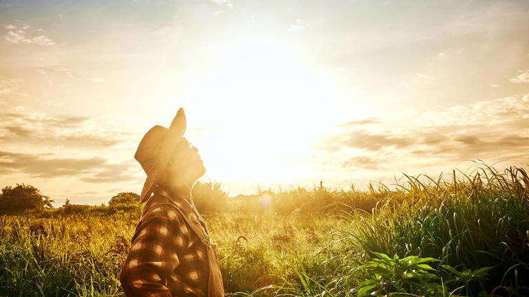 Closing Bell: ASX agriculture stocks find silver lining in tariff trade war