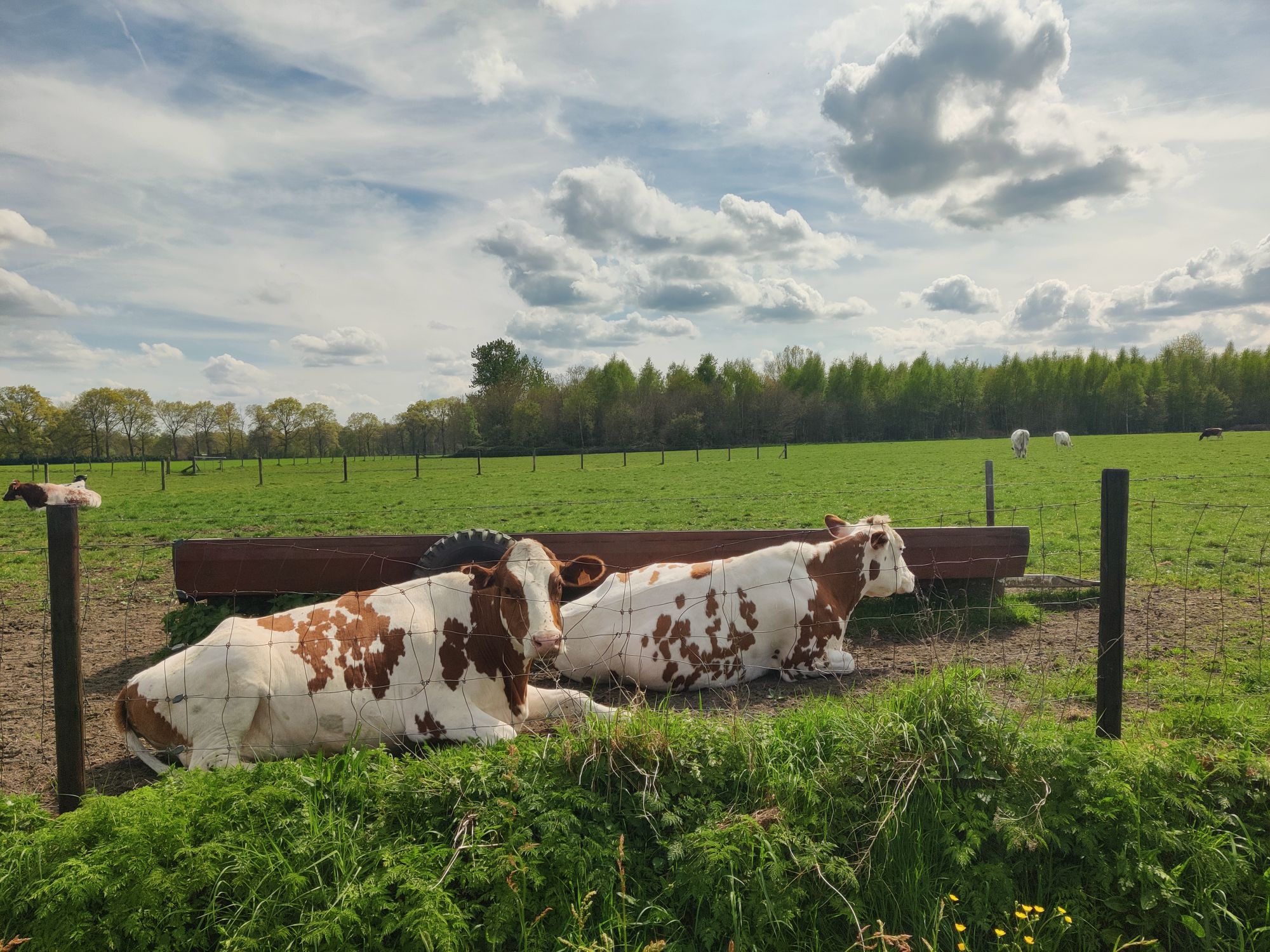 Weerman Samuel ziet grote verschillen tussen oost en west