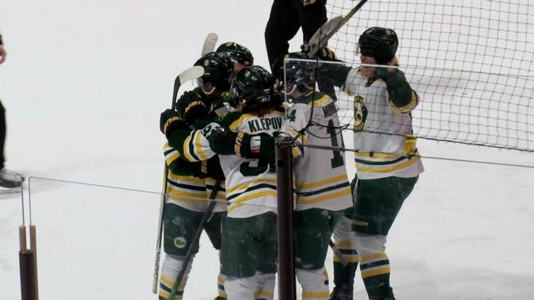 Four-goal first period paces Sioux City to 7-0 win against Fargo in ...