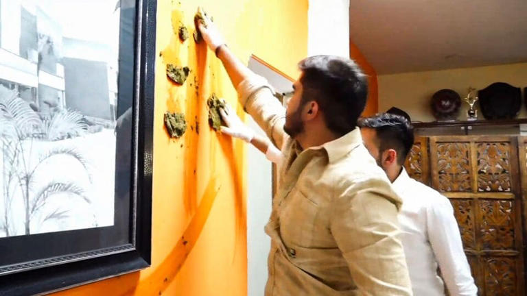 Cow dung experiment to beat heatwave triggers row in Delhi University's ...