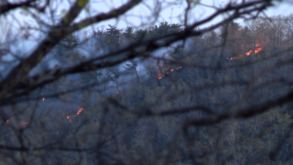 Bee Rock Branch Fire prompts evacuation on Wild Acres Road as blaze ...