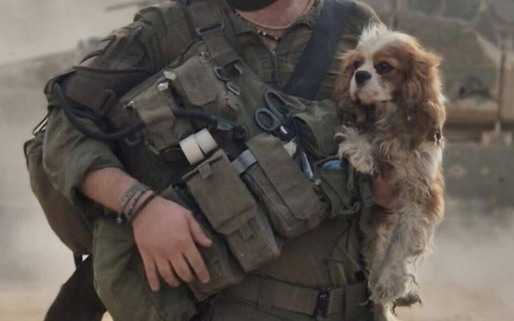 Dog abducted from murdered hostage’s family found by troops in Gaza