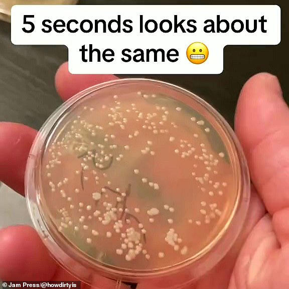 Microbiologist finds out just how dirty dropped food really is