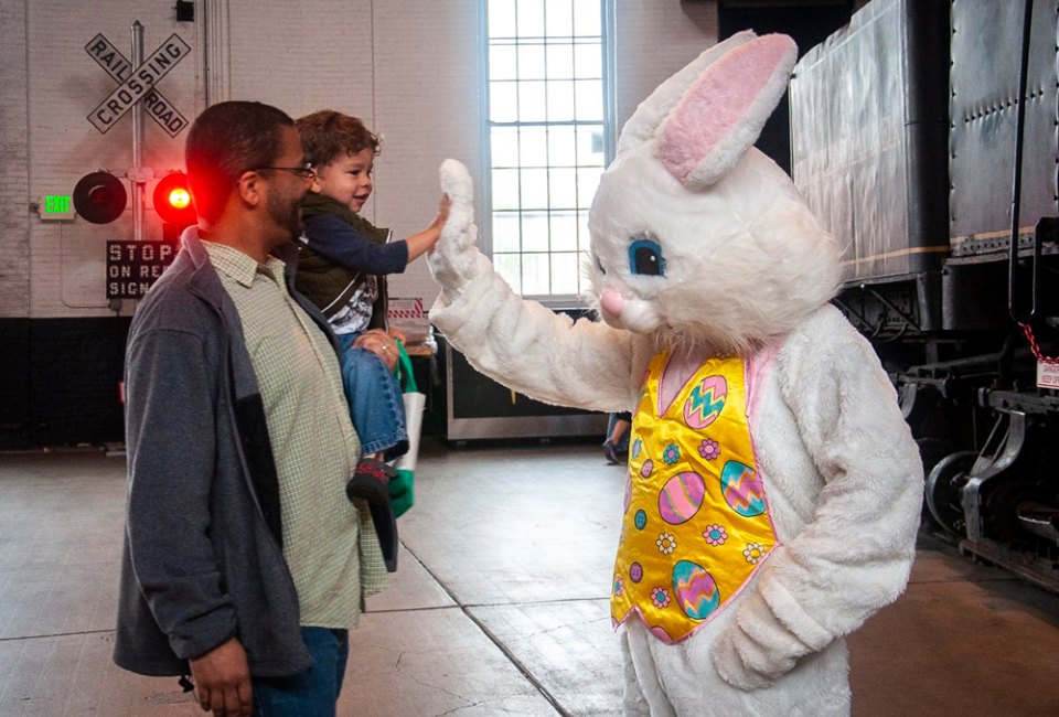 The Easter Bunny, Egg Hunts, Earth Day and More Things To Do in DC This ...