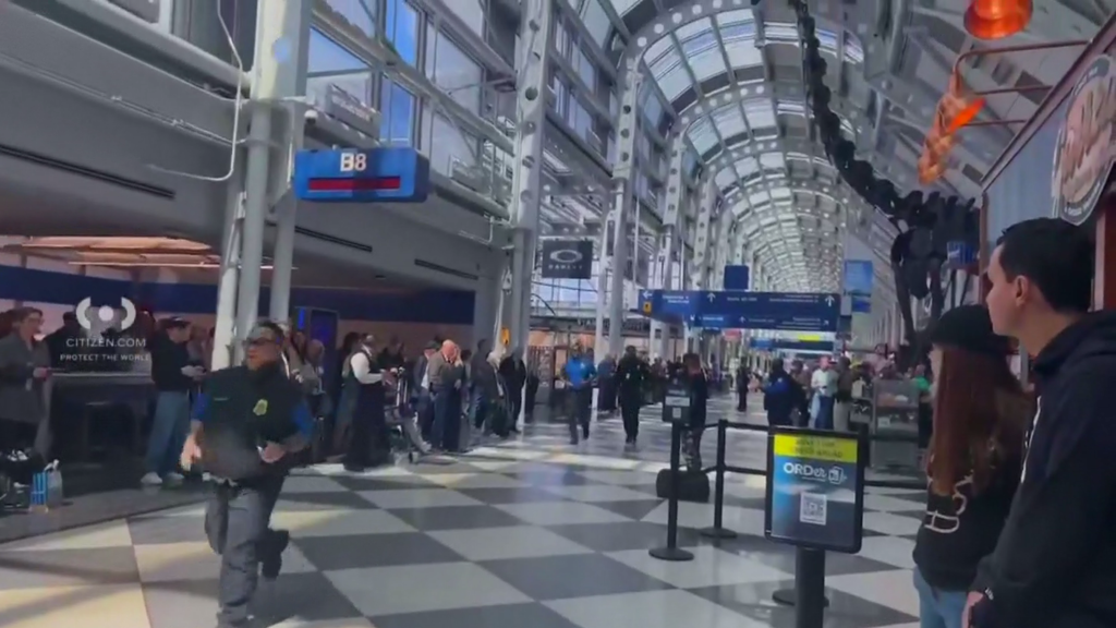 Passenger arrested after gun is found in bag at O'Hare International ...