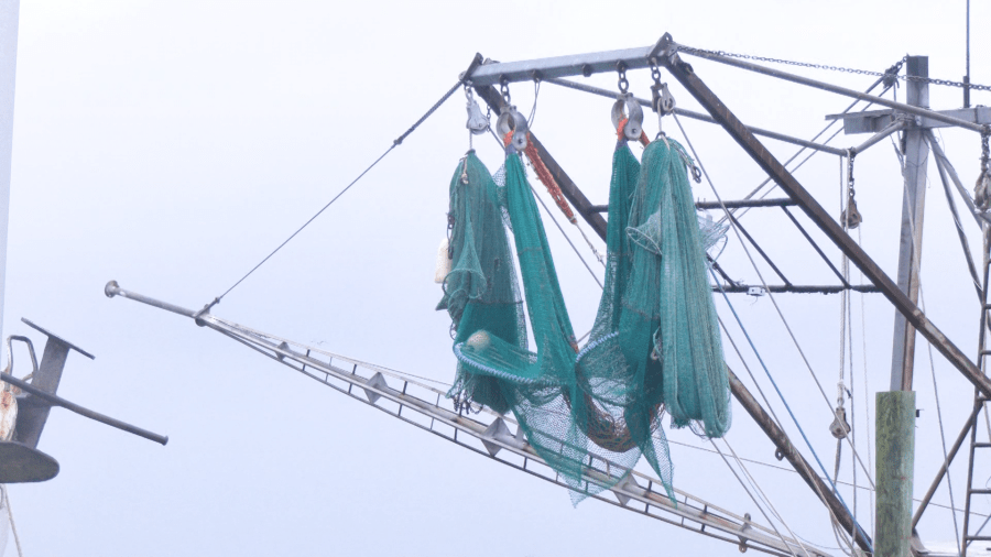 Fwc Hears Input On Recreational Oyster Harvesting In Apalachicola Bay