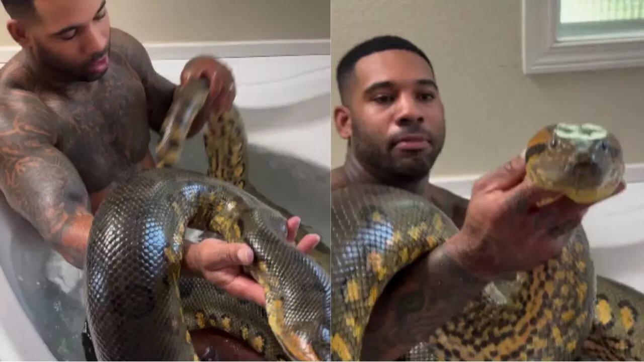 Watch | Man bathing with giant python in the bathtub goes viral; internet reacts in shock - ‘Is ...