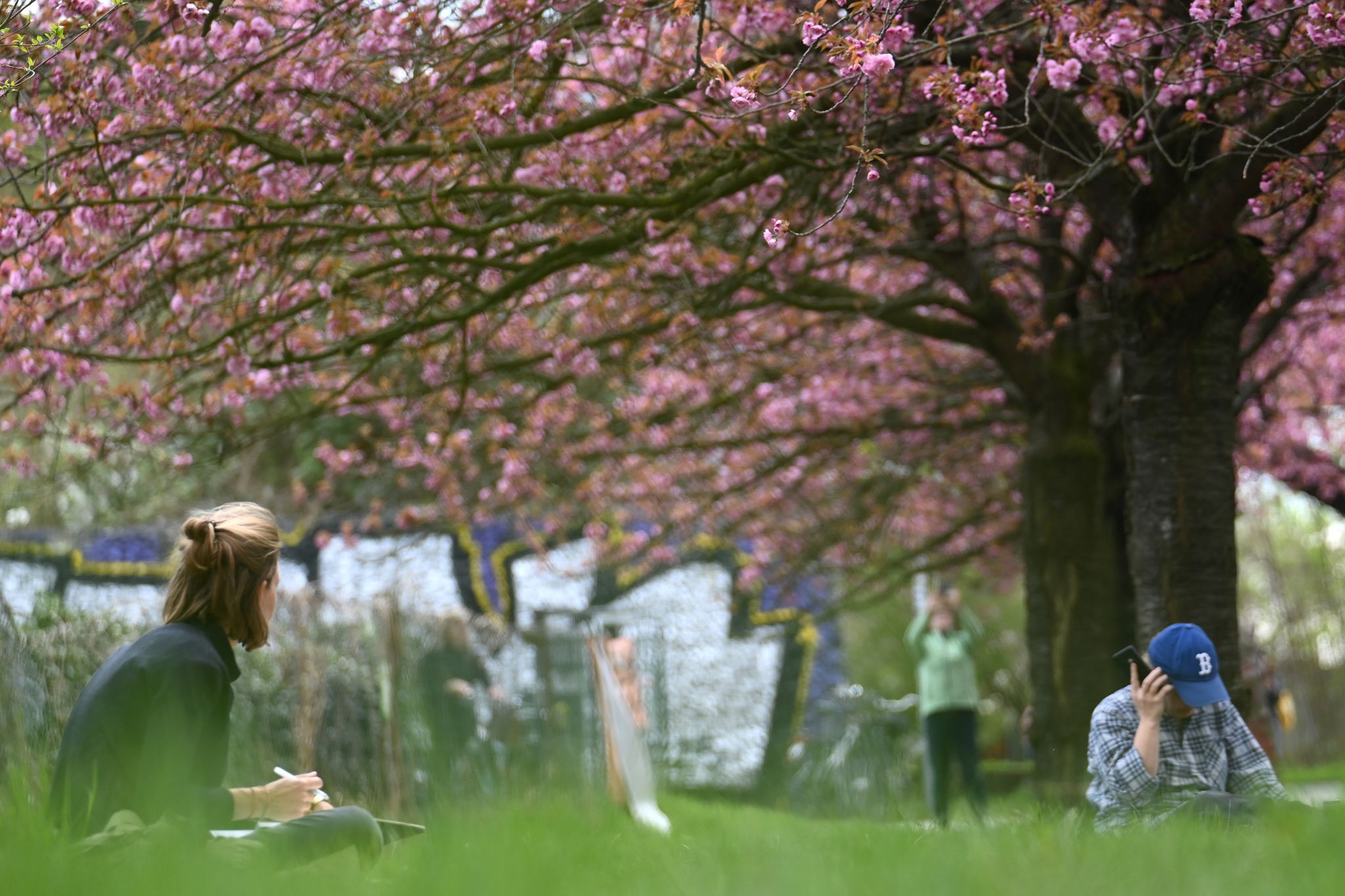 Knapp 30 Grad in Berlin und Brandenburg - Schauer zu Ostern