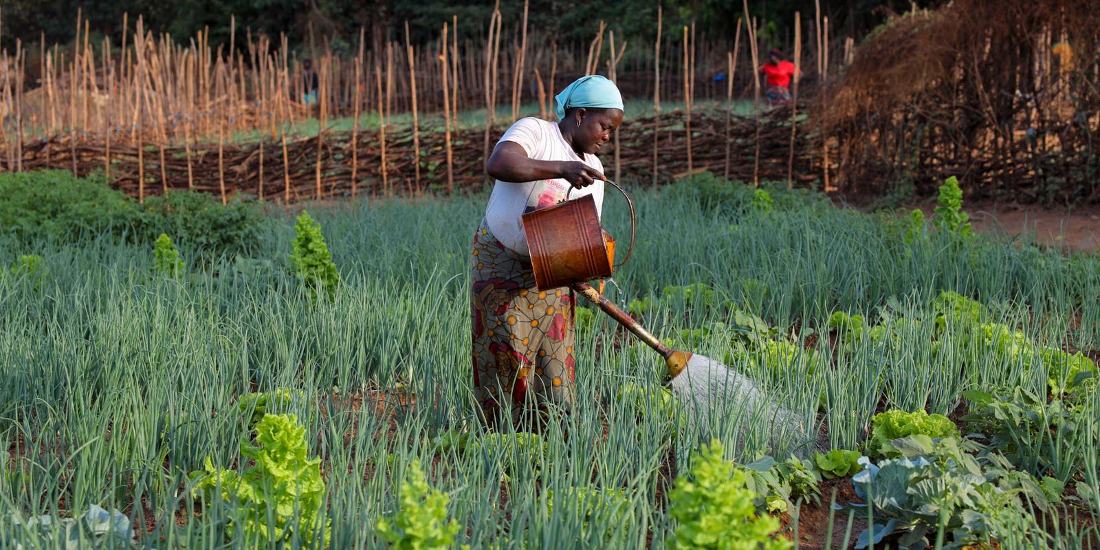 Elfenbenskusten: Vill jobba med Turkiet i alla sektorer