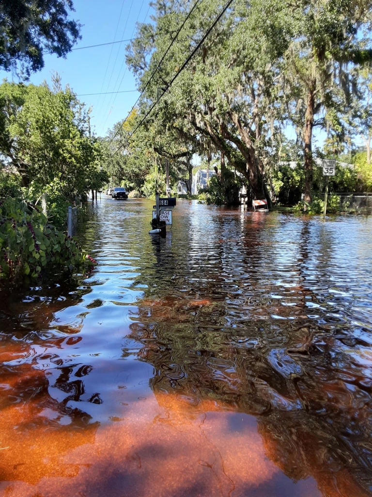 Bid process approved for major, $8.4M grant-funded Corbin Park ...